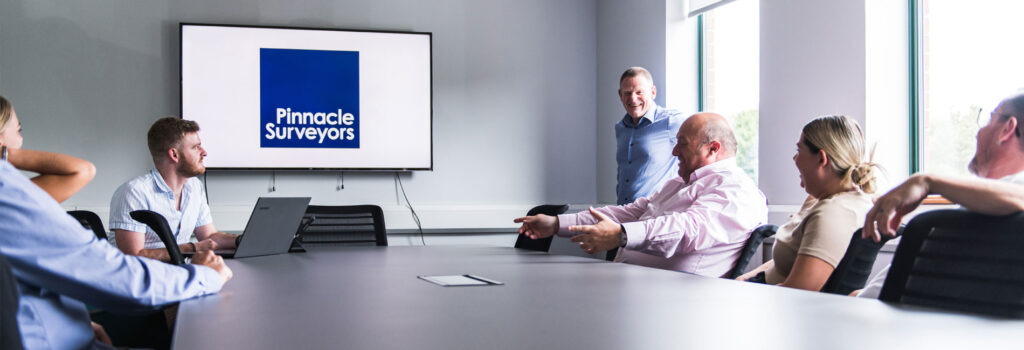 Vision - Pinnacle Surveyors